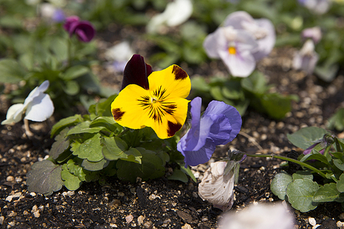 PHO581 | 유토이미지 검색 결과