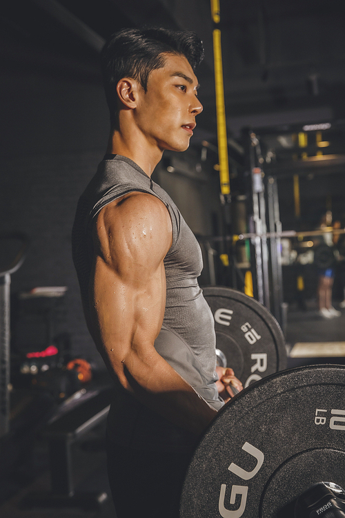 팔뚝 | 유토이미지 검색 결과