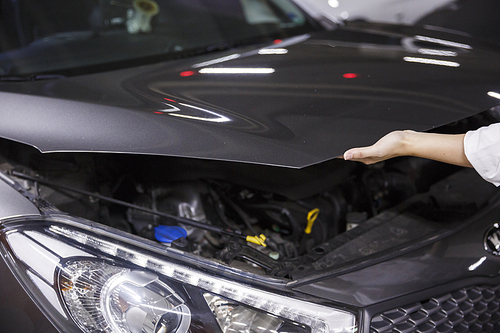 PHO606 | 유토이미지 검색 결과