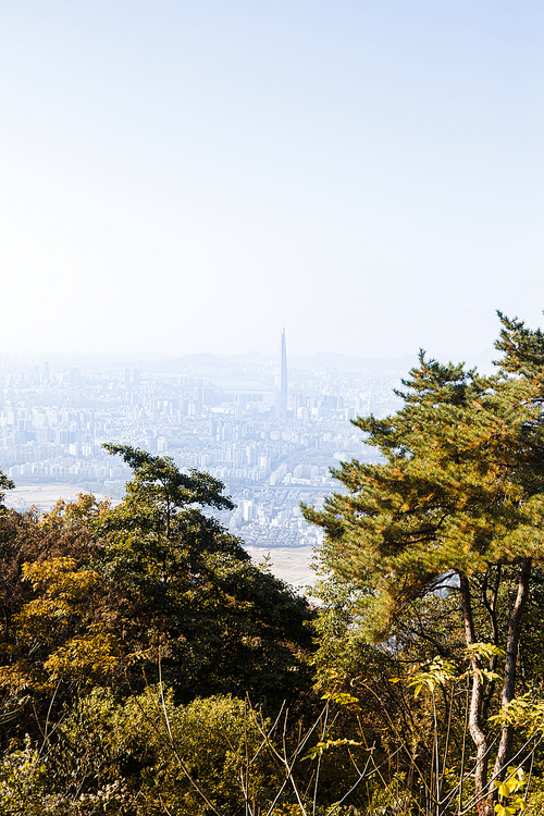 223 | 유토이미지 검색 결과