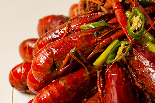 PHO684 | 유토이미지 검색 결과