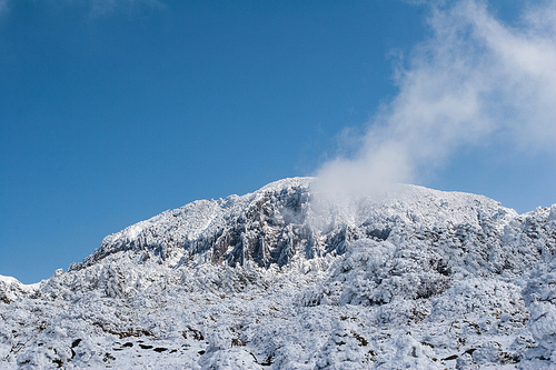 제주도 한라산 | 유토이미지 | 상세페이지 | 베이직샵 | 사진 | 20668172