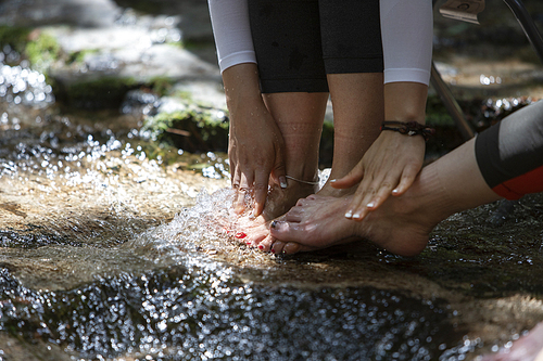 발목 | 유토이미지 검색 결과
