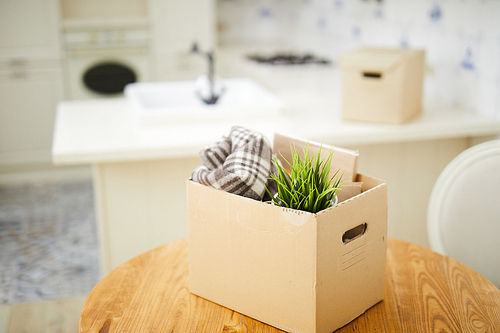Carton box with green plant and folded plaid inside standing on wooden ...