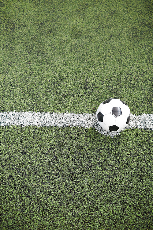 View of leather soccer ball on white line dividing field for play in ...