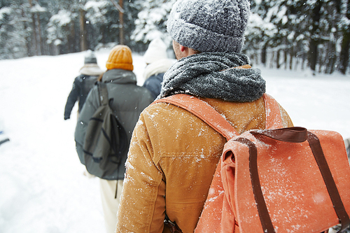 유토이미지 | Rear view of backpackers walking in row during their trip in ...