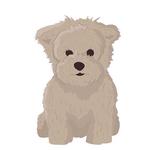 SUL058 | 유토이미지 검색 결과