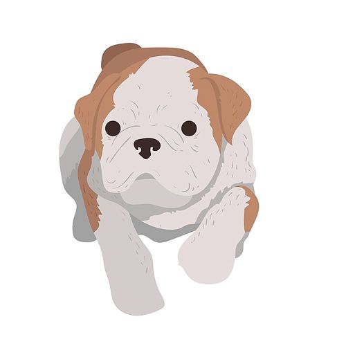 SUL058 | 유토이미지 검색 결과