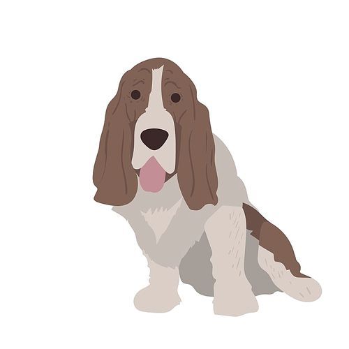 SUL058 | 유토이미지 검색 결과