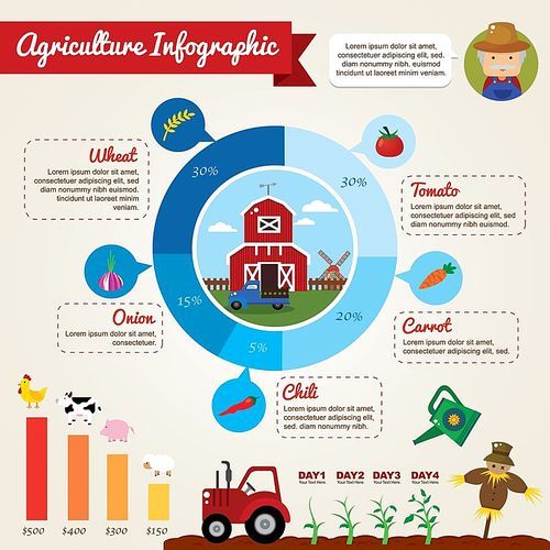 infographic of agriculture | 유토이미지 | 상세페이지 | 베이직샵 | 일러스트 | 20944363