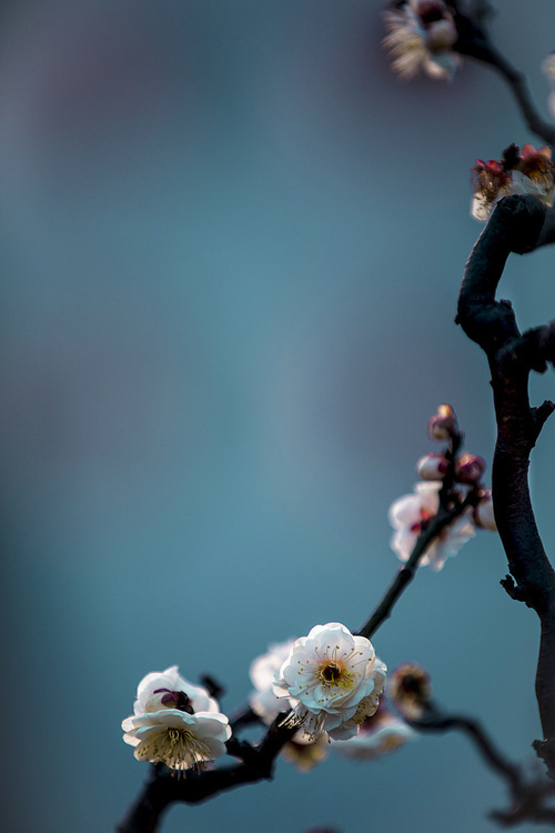 TU009 | 유토이미지 검색 결과