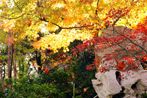 TU018 | 유토이미지 검색 결과