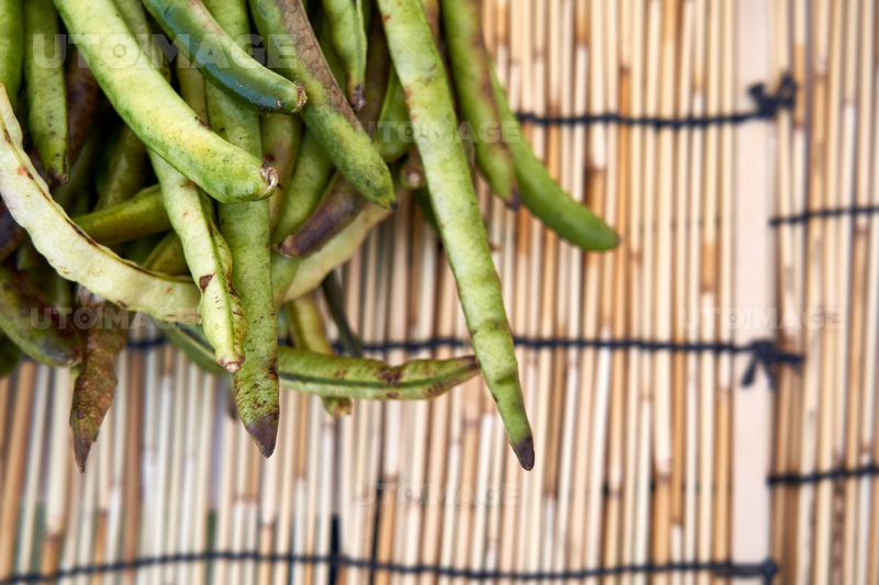 껍질을 까지 않은 콩 | 유토이미지 | 상세페이지 | 베이직샵 | 사진 | 20706605