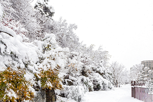 PHOTADO_241217 | 유토이미지 검색 결과