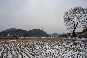 유토이미지 | 한국의 겨울산 풍경, 발왕산
