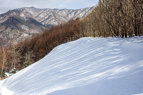 유토이미지 | 한국의 겨울산 풍경, 발왕산