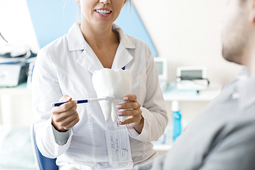 Mid section portrait of smiling female dentist holding tooth model and ...