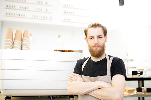 유토이미지 | Content confident hipster young barista with beard and mustache ...