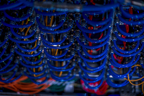 SF105 | 유토이미지 검색 결과