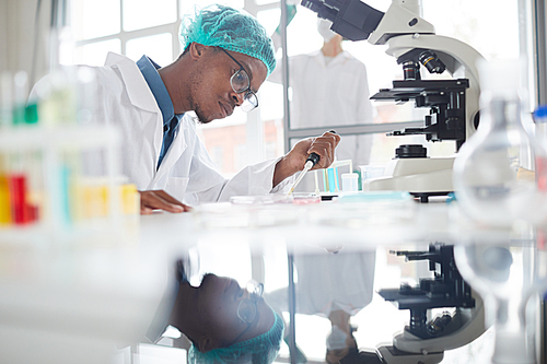 Side view portrait of African-American man working in laboratory ...