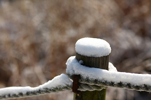유토이미지 | 겨울풍경