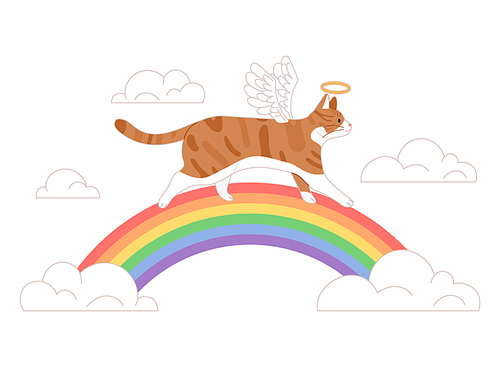 woocat_220727m | 유토이미지 검색 결과
