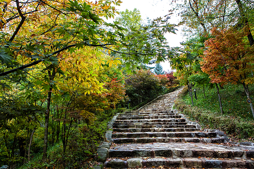 유토이미지 | 상원사 올라가는 길