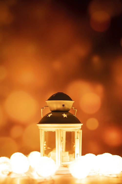 B211101 | 유토이미지 검색 결과