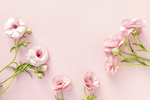 Borina_240401 | 유토이미지 검색 결과