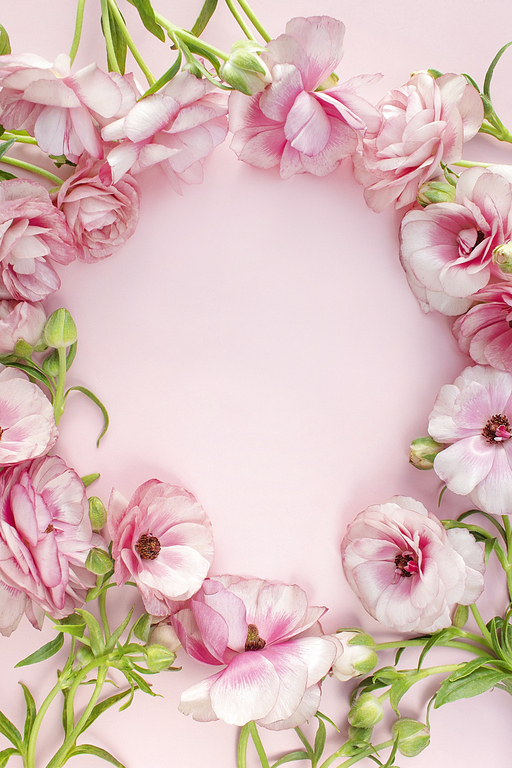 Borina_240401 | 유토이미지 검색 결과