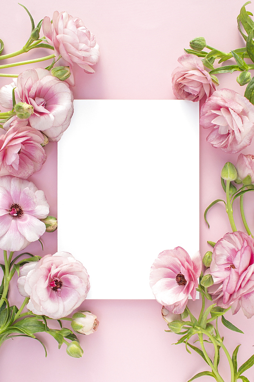 Borina_240401 | 유토이미지 검색 결과