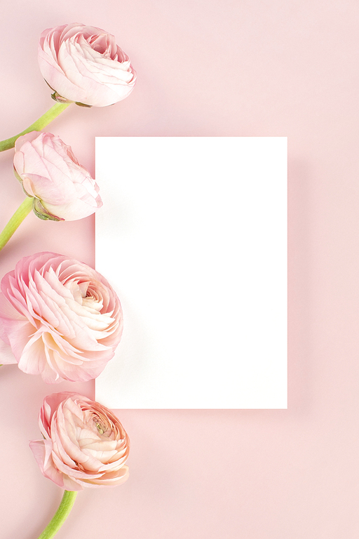 Borina_240401 | 유토이미지 검색 결과