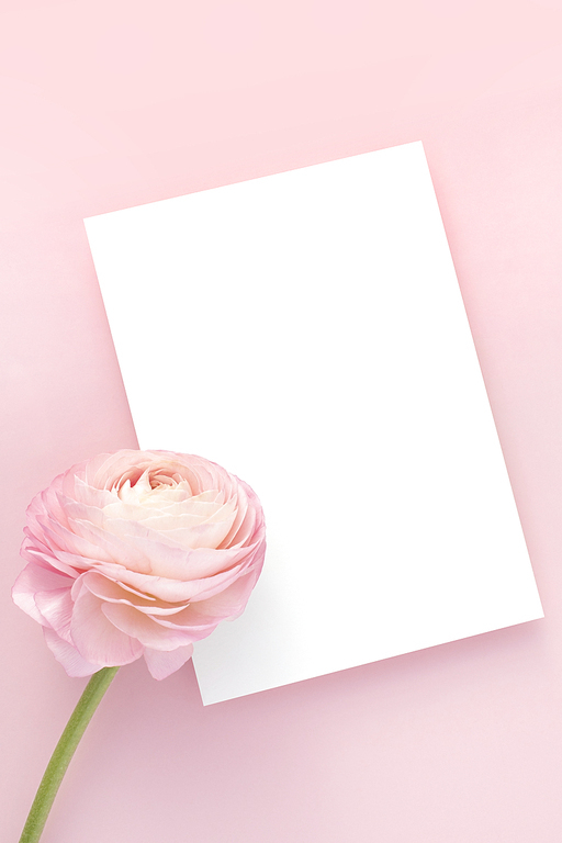 Borina_240401 | 유토이미지 검색 결과