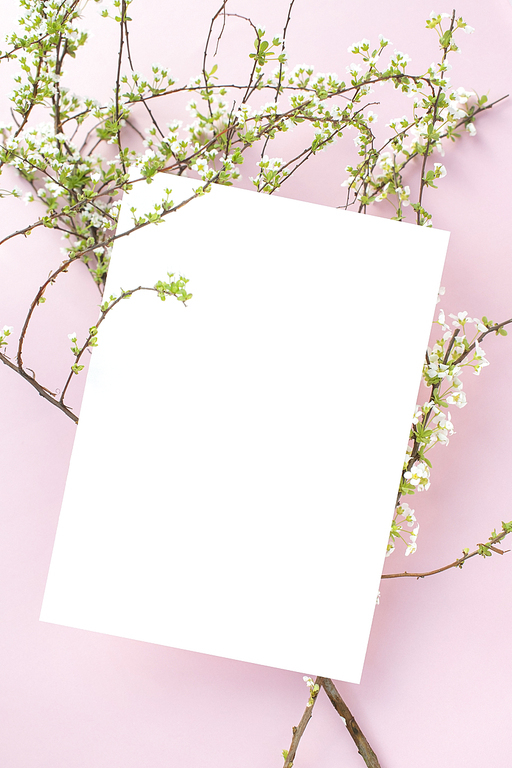 Borina_240401 | 유토이미지 검색 결과