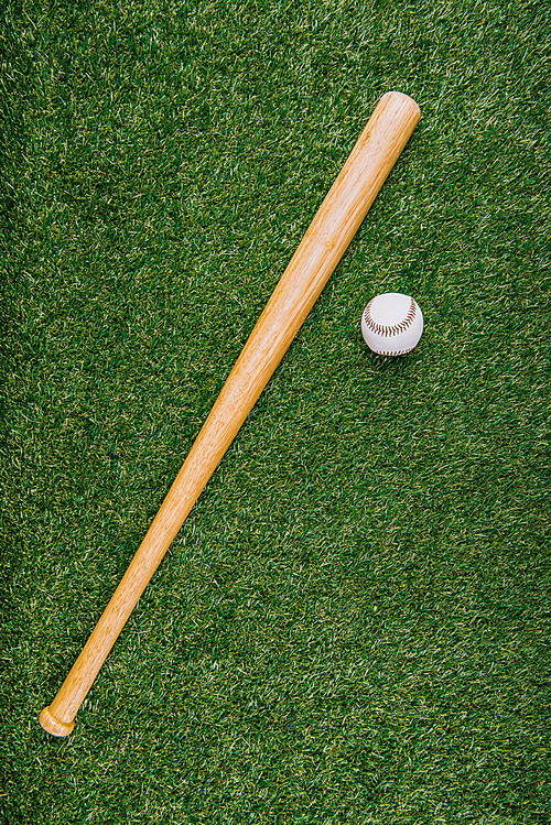 top view of baseball bat and ball arranged on green lawn | 유토이미지 | 상세 ...