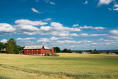 유토이미지 | rural scene with field and houses under blue sky, Hamar ...