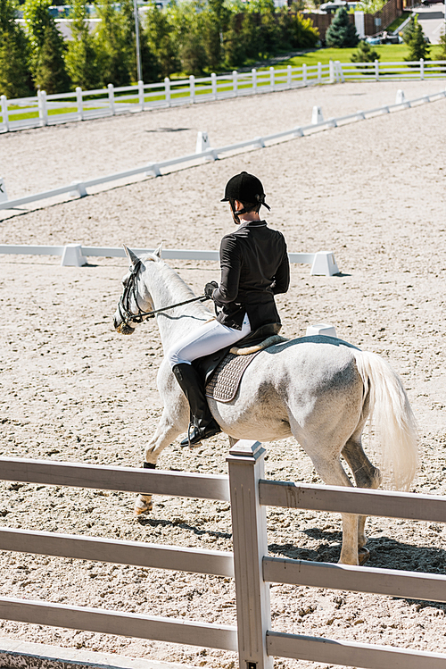 back view of male equestrian riding horse at horse club | 유토이미지 | 상세페이지 ...