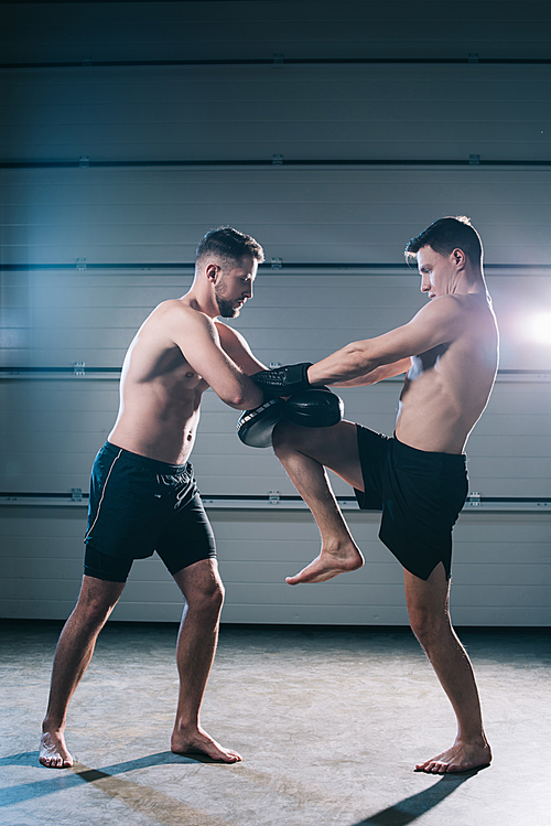athletic muscular barefoot mma fighter practicing kick with another ...