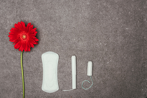 top view of arrangement of red flower, menstrual pad and tampons on ...