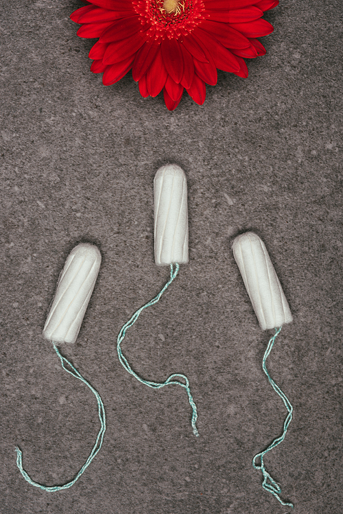 유토이미지 | top view of arranged menstrual tampons and red flower on grey ...