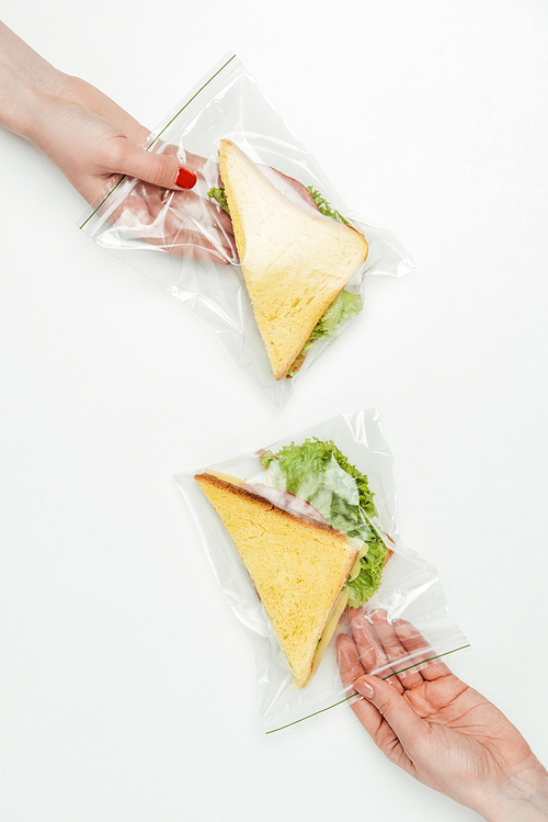 cropped image of women holding sandwiches in ziplock bags isolated on ...