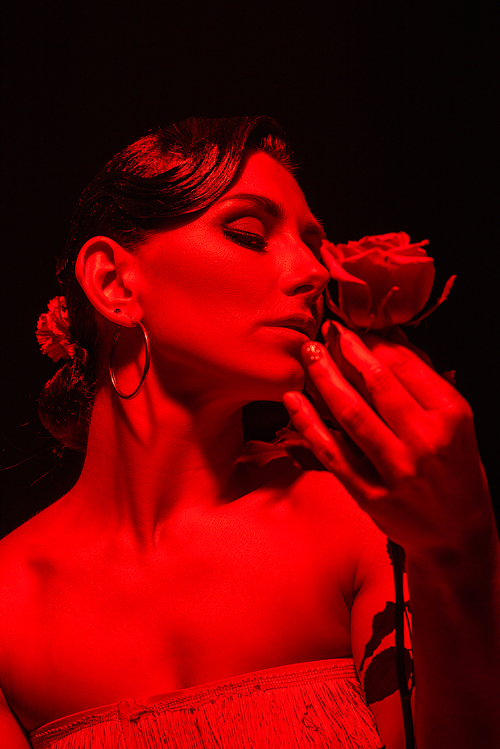 유토이미지 | beautiful tango dancer holding red rose on dark background with ...
