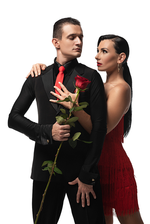 beautiful tango dancer hugging partner holding red rose isolated on ...