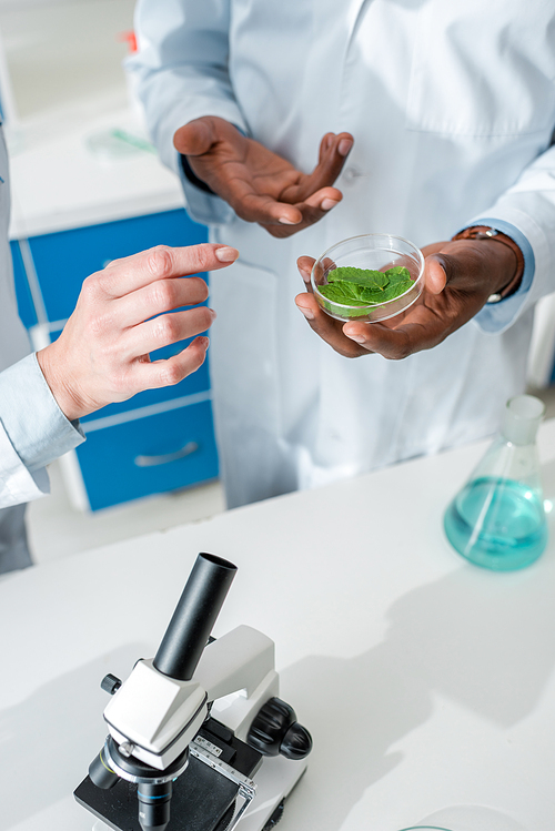 cropped view of multicultural biologists looking at leaves in lab | 유토 ...