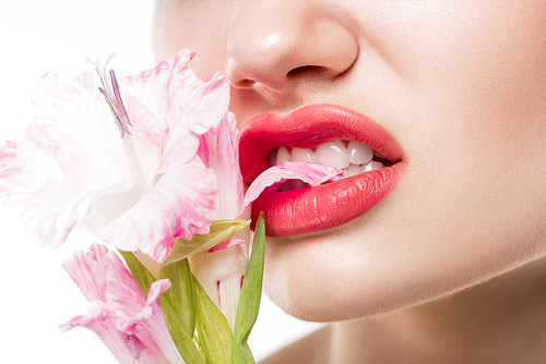 유토이미지 | partial view of girl biting pink flowers, isolated on white