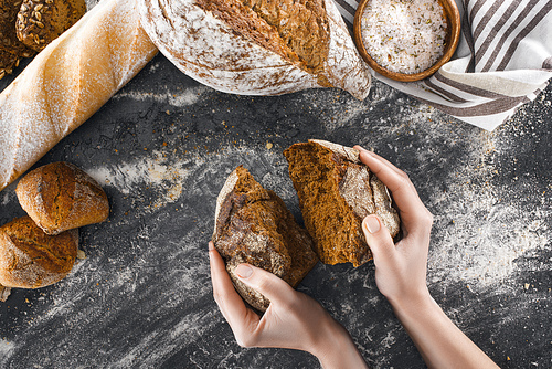 cropped shot of human hands holding loaf of homemade bread | 유토이미지 | 상세 ...