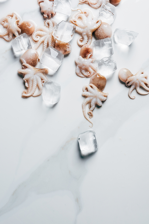 top view of small octopuses with ice cubes on marble surface | 유토이미지 ...