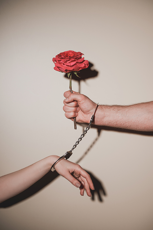 partial view of woman and man in metal handcuffs holding red rose ...