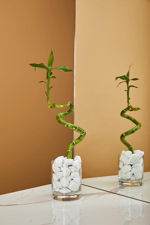 green bamboo stem in vase with stones and mirror on white marble table ...
