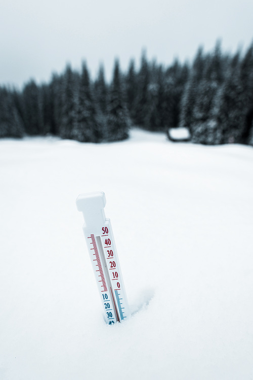 thermometer in mountains covered with snow with pine trees | 유토이미지 | 상세 ...